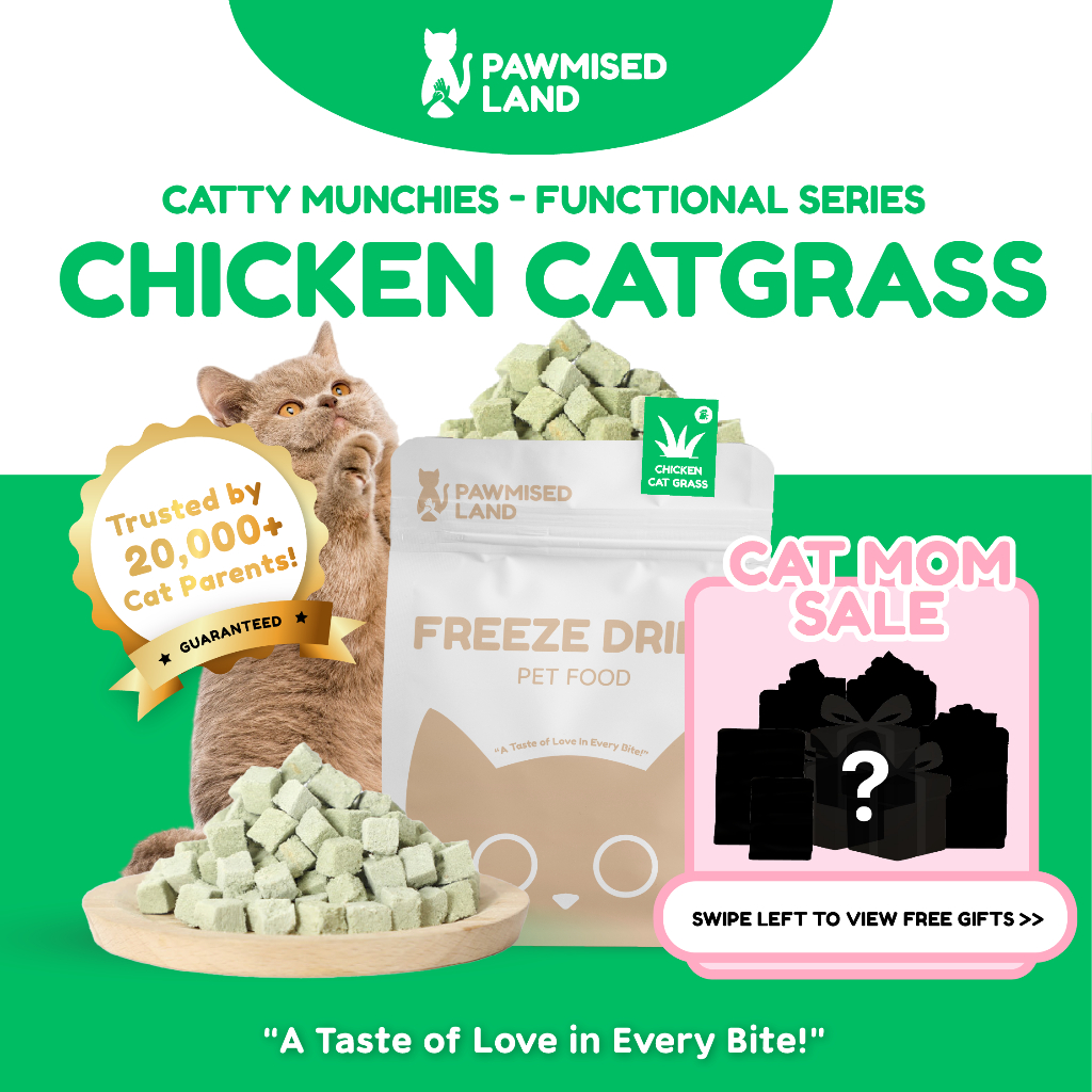 PawmisedLand Catty Munchies - Chicken Catgrass - Functional Series ...