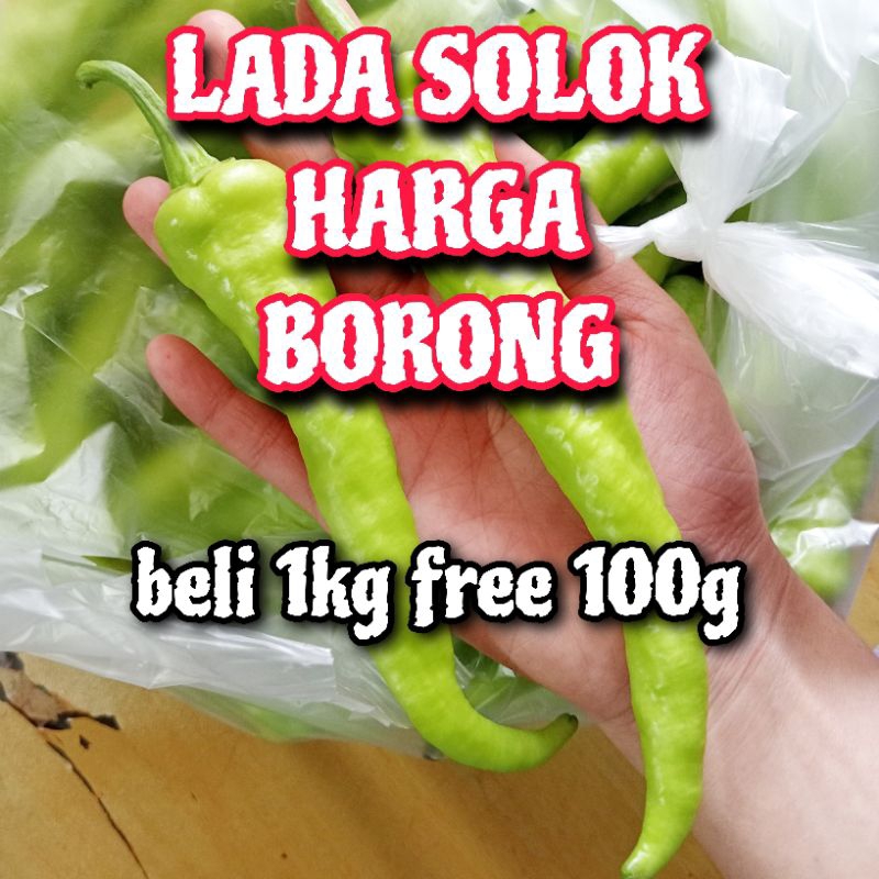 LADA SOLOK KAMPUNG GRED A FRESH KEBUN LADA HIJAU BESAR LADA SET NASI ...