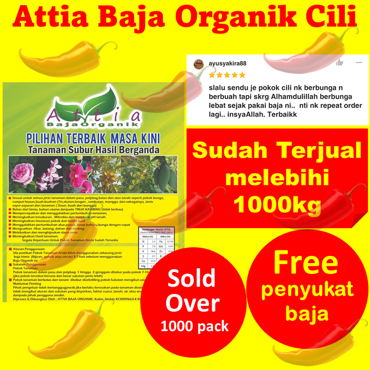 Attia Baja Pupuk Organik Cili Padi Kampung Lada Solok Cabai Lada Burung ...