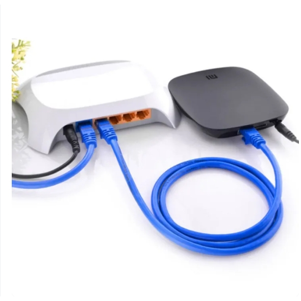 Ethernet Cable 2M Cat5e RJ45 High-Speed LAN Cable Indoor and Outdoor ...