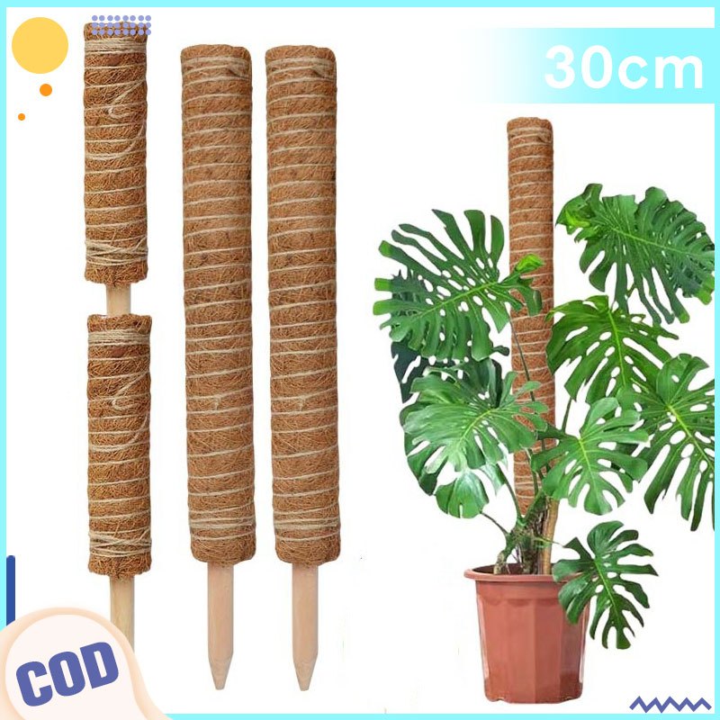 Plant Stakes Moss Pole Stackable Moss Poles Climbing Plants Accessories Indoor for Climbing ...