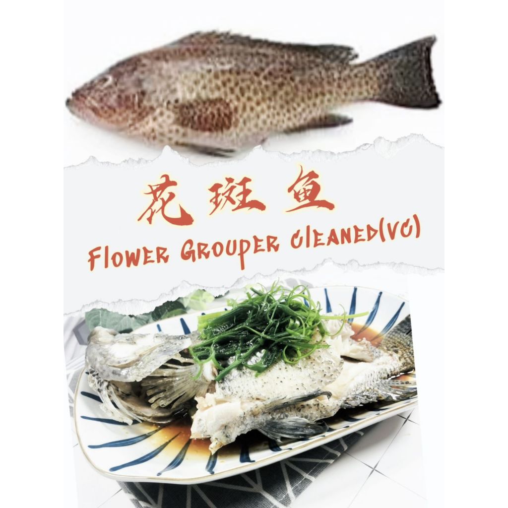 FLOWER GROUPER CLEANED (VC) 花斑 | Shopee Malaysia