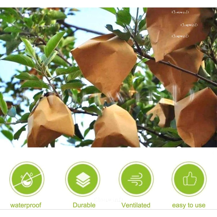 50PCS Fruit Protection Bags with Wire Pulp Paper Garden Plant Fruit ...