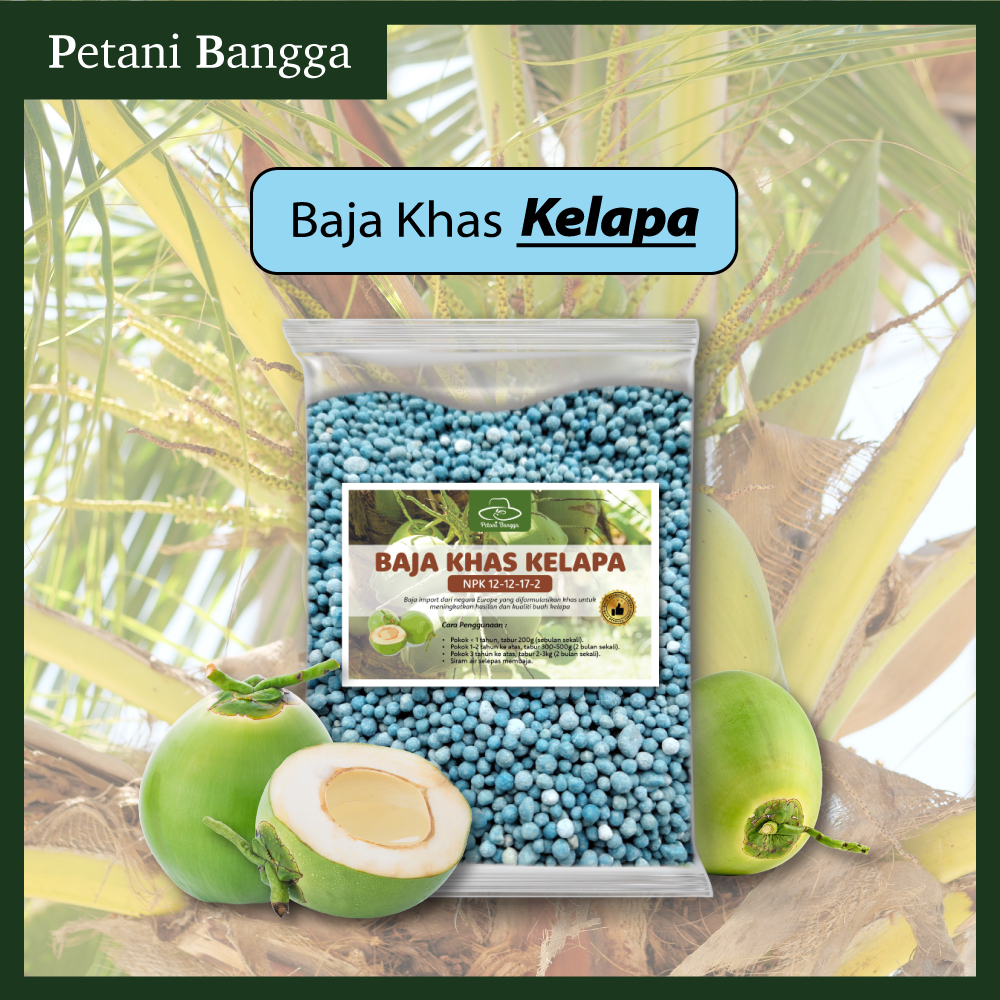 [KHAS SERIES] BAJA KHAS KELAPA | Baja Premium & Import | Baja 12-12-17 ...