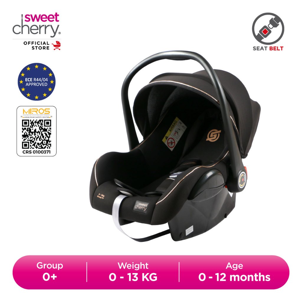 Sweet Cherry Newborn Rearward Facing Infant Baby Carrier Car Seat from ...