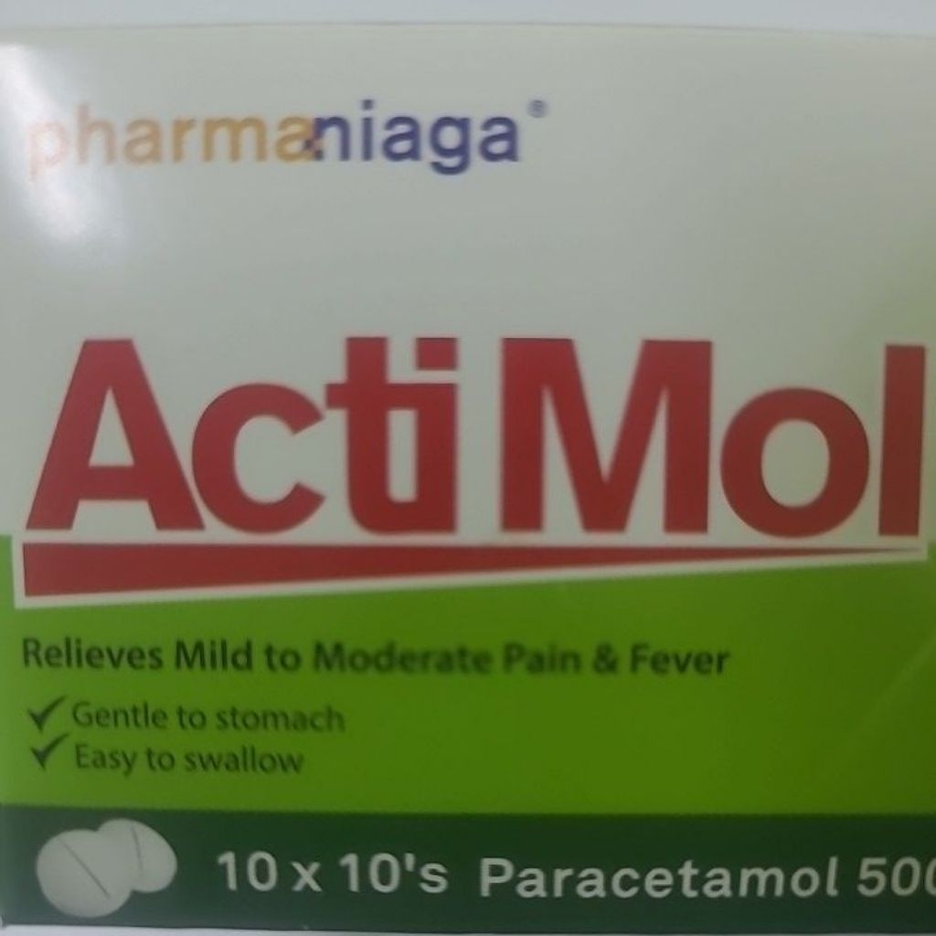 Actimol 500mg 10's x 10 strips (exp:02/26) | Shopee Malaysia