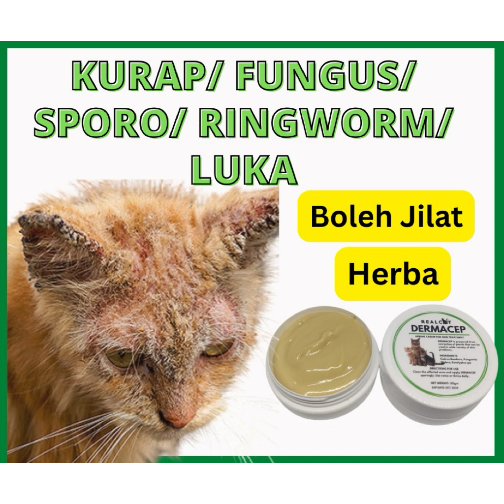 Realcat Krim Kurap Kudis Luka Sporo Ringworm Gatal Fungus Krim Cream ...