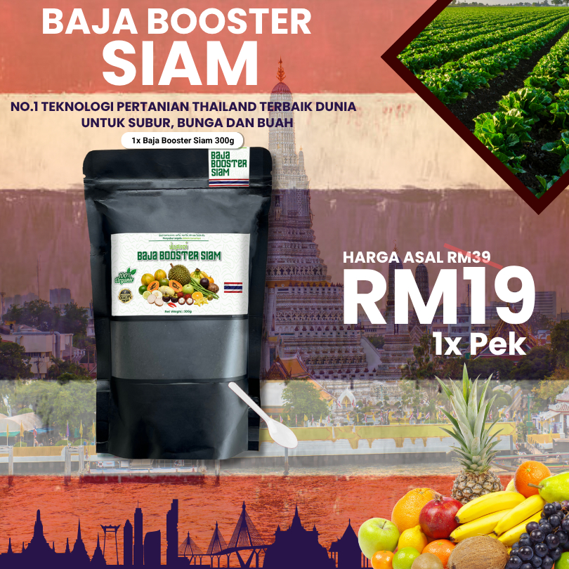 Baja Booster Siam Baja Baja Organik Baja Subur Baja Bunga Baja indoor plants Abang Baja | Shopee ...