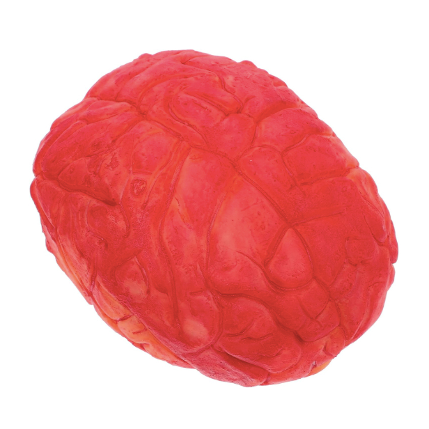 MSIA Ready Stock/ Fake Brain Prop Fun Playful Halloween Decoration ...