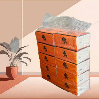 (10 Packs/1 Bag) 5-Ply Deluxe Soft Pack Tissue Paper/Multipurpose ...