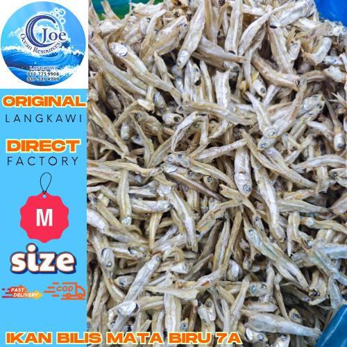 Joe Ocean Resources Ikan Bilis Mata Biru Grade 7A (Lebih Rangup dan ...