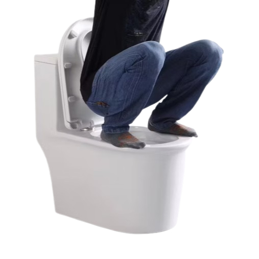 2 IN 1 Jamban One Piece Ceramic Water Closet (Toilet Bowl) | High ...
