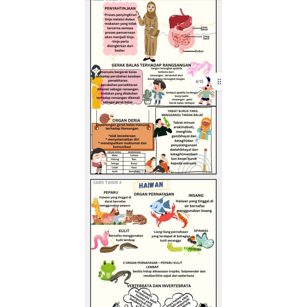 Nota Ringkas Sains Tahun 4 Kssr Shopee Malaysia