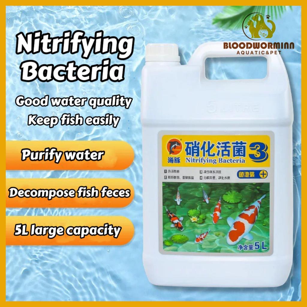 Aquarium Nitrifying Bacteria｜Essential for Clean Water & Healthy Fish ...