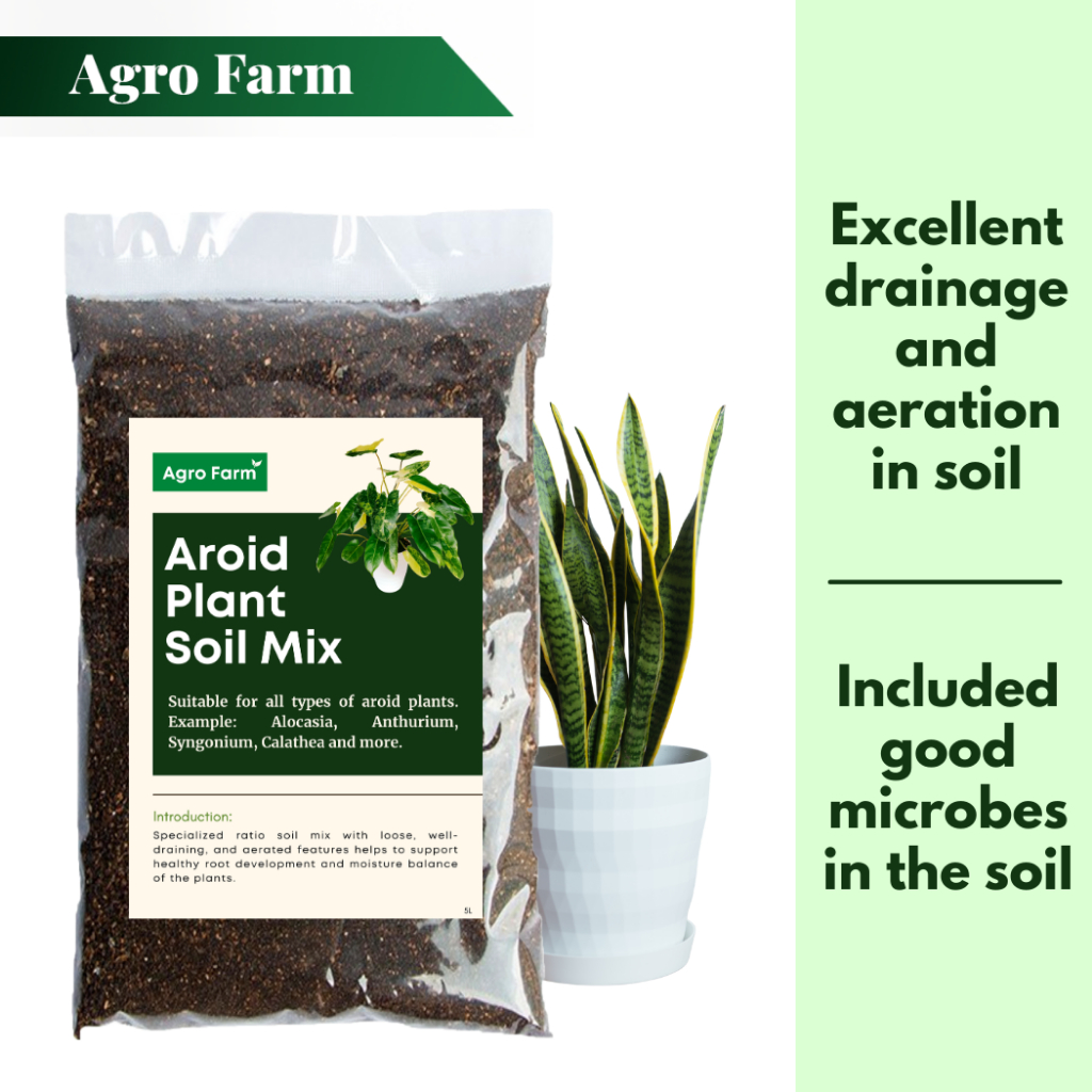 Agro Farm Aroid Soil Mix for Anthurium Philodendron Alocasia Aglaonema ...