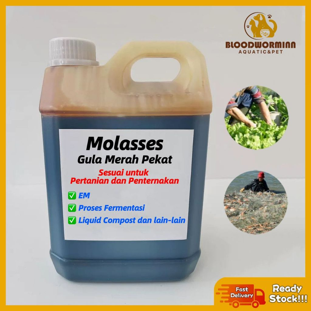 Molasses Gula Merah Untuk Pertanian & Penternakan Non-food 1kg/3kg/5kg ...