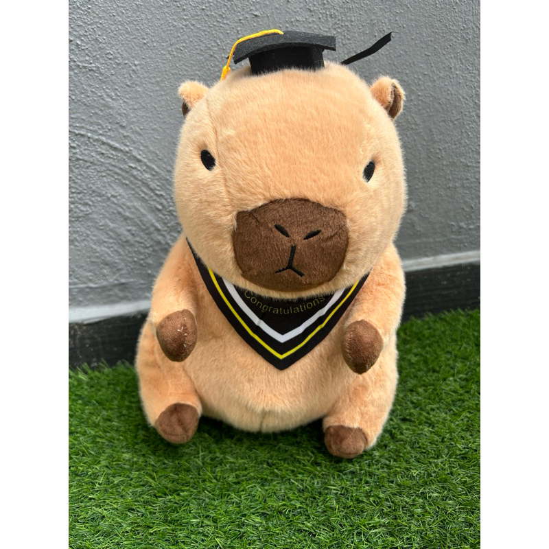 Ready Stock Graduation Capybara Bachelors Uniform Capybara plushy Doll ...