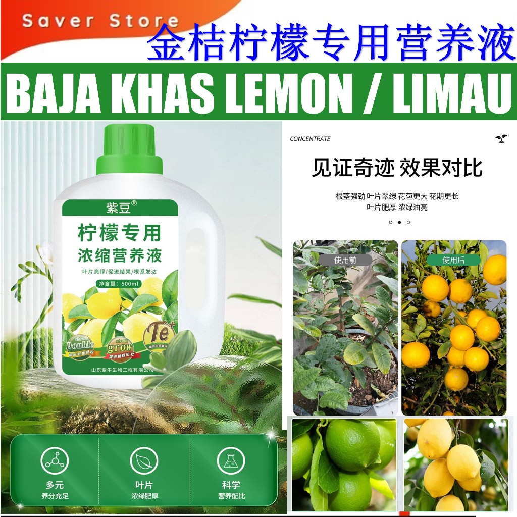 Baja Limau Lemon Limau Kasturi Limau Nipis Citrus Fertiliser Nutrient ...