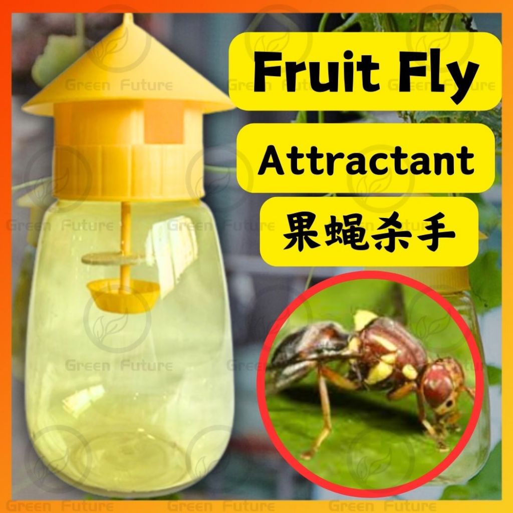 Fruit Fly Trap Bottle 果蝇 Insect Flies Catcher Fruit Fly Attractant ...