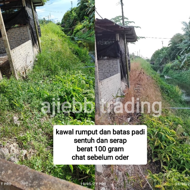 Ajiebb kawal rumput laman rumah dan batas padi | Shopee Malaysia
