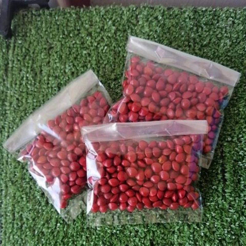 Red Acacia Bean / Saga Seed / Red Beed / Biji Bijian (Craft / Game ...