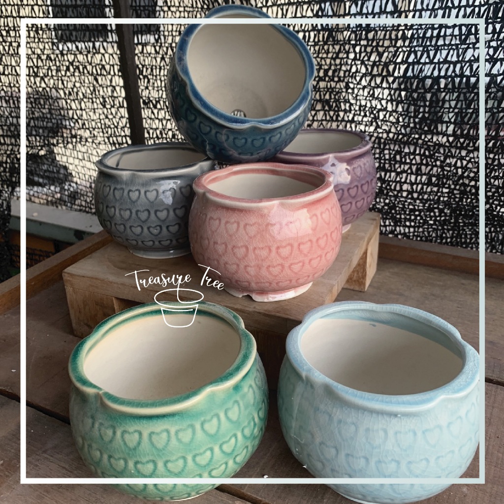 [Treasure Tree] Succulent Flower Pots 多肉植物花盆花朵盆口花盆 | Shopee Malaysia