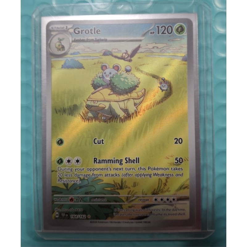 Pokemon TCG- Grotle (IR) - 164/162 [TF] | Shopee Malaysia