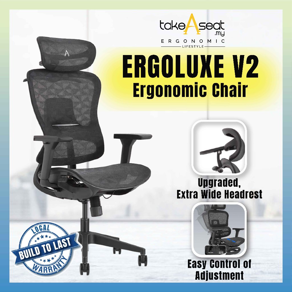 ergoActive ★ ERGOLUXE V2 Ergonomic Chair (Easy Setup) ★ Improved ...