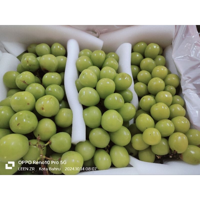 ANGGUR BESAR SHINE MUSCAT 1 KILO | Shopee Malaysia