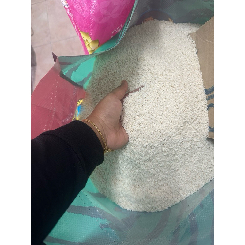 Beras Pulut Susu Gred AAA 1kg | Shopee Malaysia