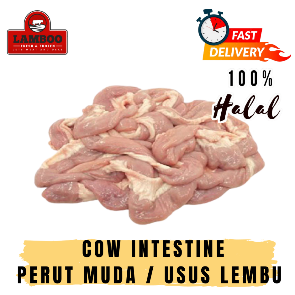 IAustralia Intestine /Usus /Perut Muda Lembu 1kg | Shopee Malaysia