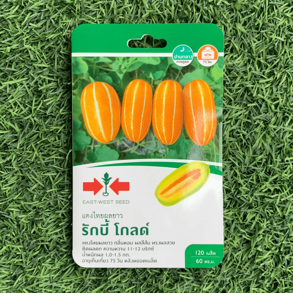Benih Timun Betik Emas/Timun Suri/Tembikai Susu Emas/ Cap Panah Merah ...