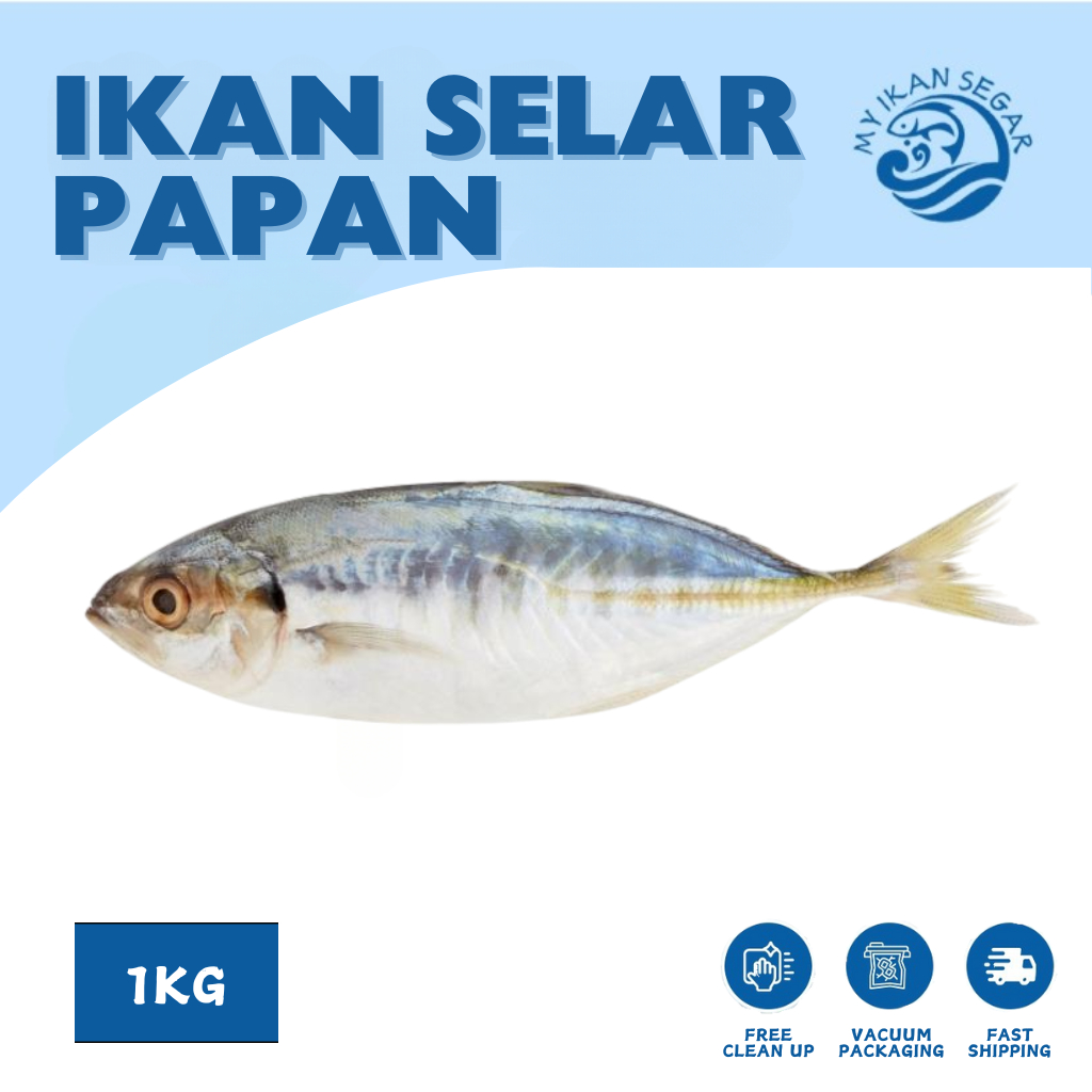 Ikan Selar Papan 1kg ( Siap Siang & Bersih) Ikan Selar Fresh Fish Ikan ...