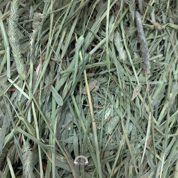 Soft Stem Timothy Hay 1kg | Shopee Malaysia