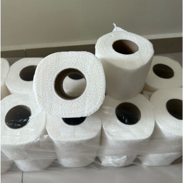 (10 rolls] Small Toilet Rolls Tissue 2ply - 200 sheets per roll ...
