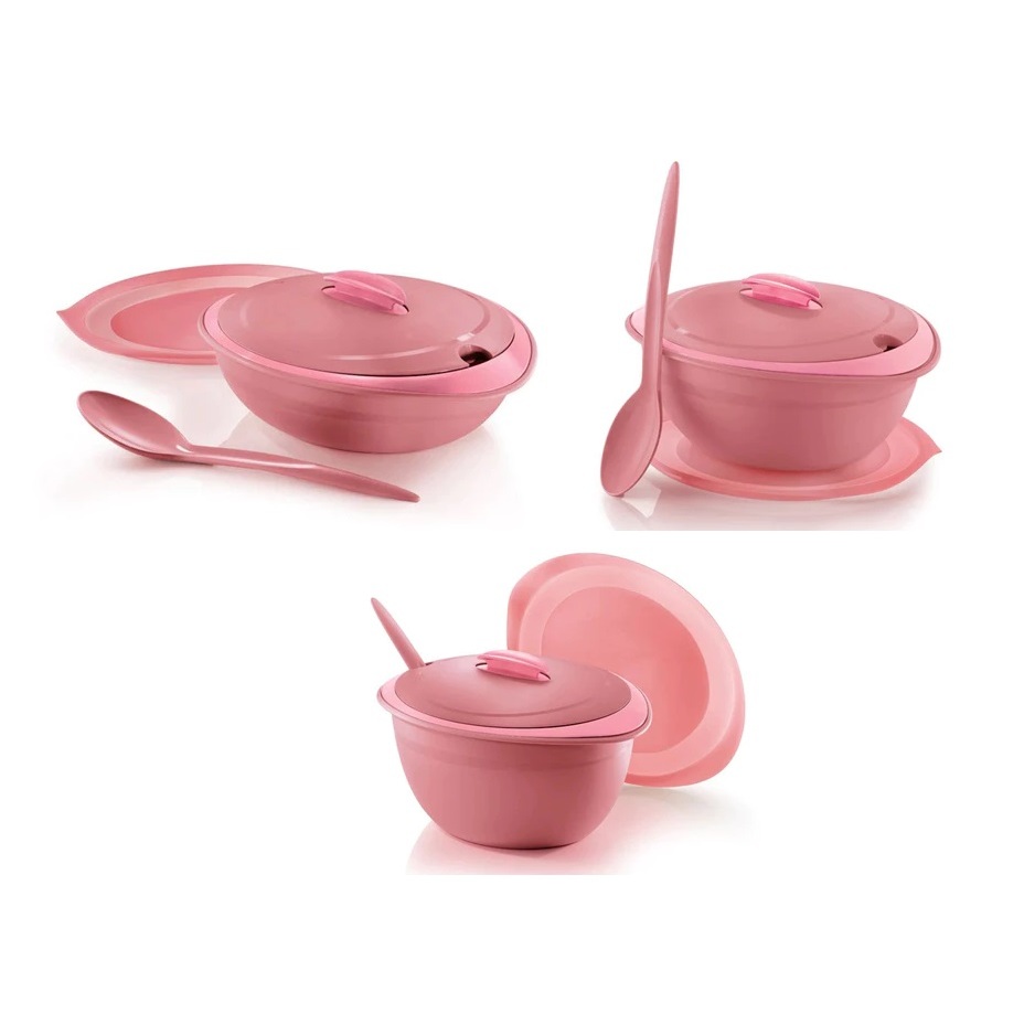 Tupperware Insulated Tupperware Insulated Server Set with Spoon ...