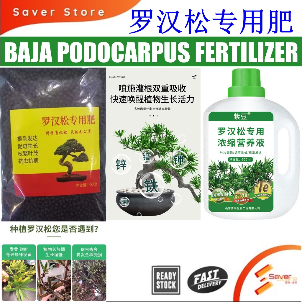 SaverStore Podocarpus Special Fertilizer | Organic Gardening Fertilizer ...