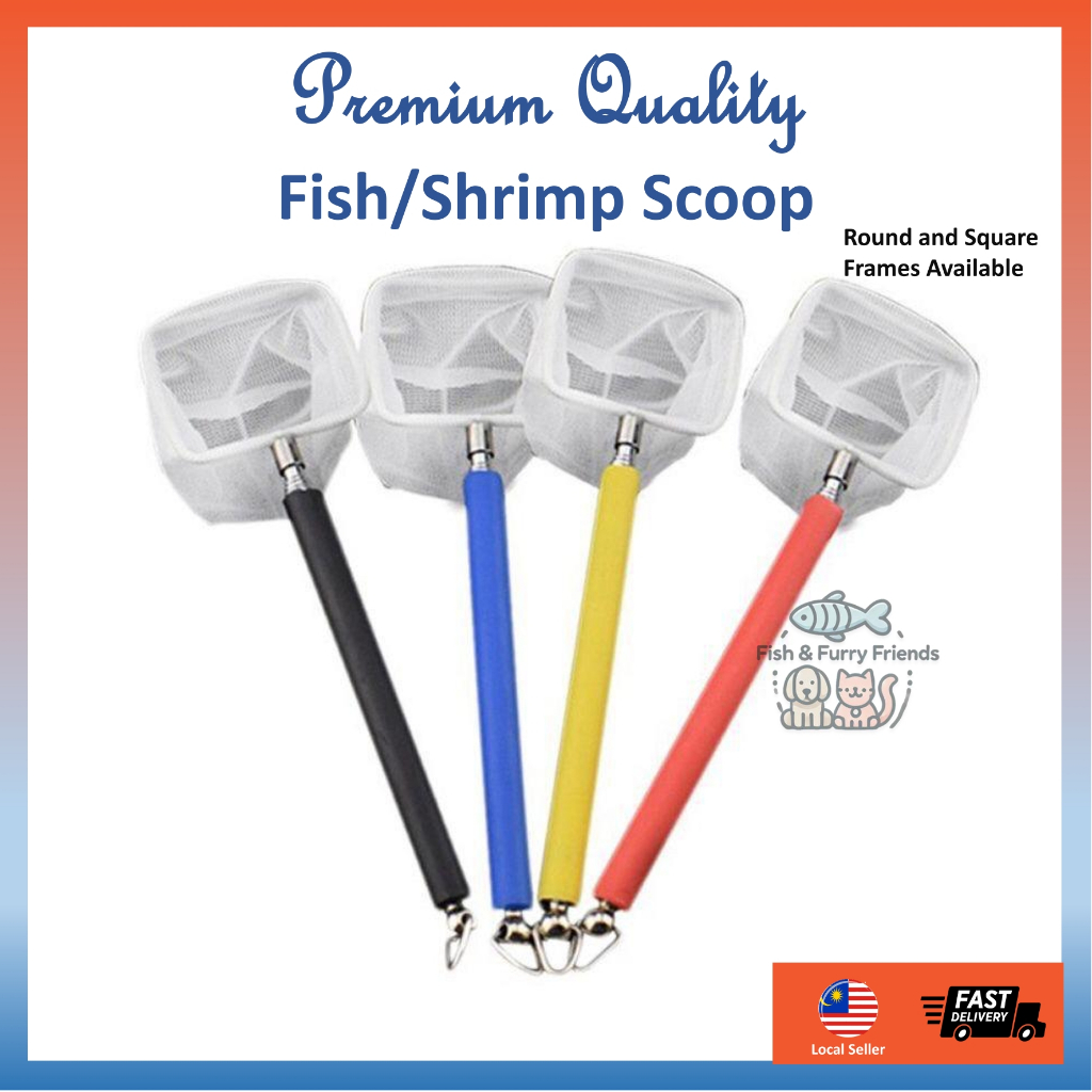 🔥Ready Stock🔥Premium Betta Stainless Steel Mini Fish Scoop Round Square ...