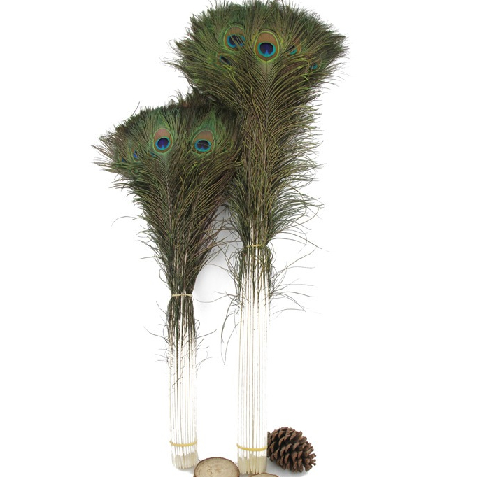 [Fortune Destiny] Natural Peacock Feathers Decoration 90-100cm 天然孔雀羽毛 ...