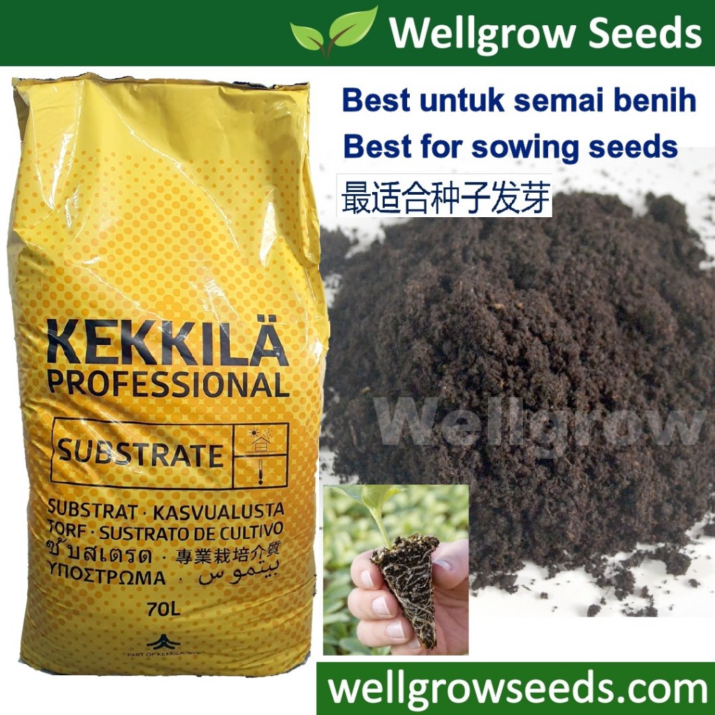 Peat Moss Fine Various Sizes (Kekkila)/Seedling Substrate/Tanah Semaian ...