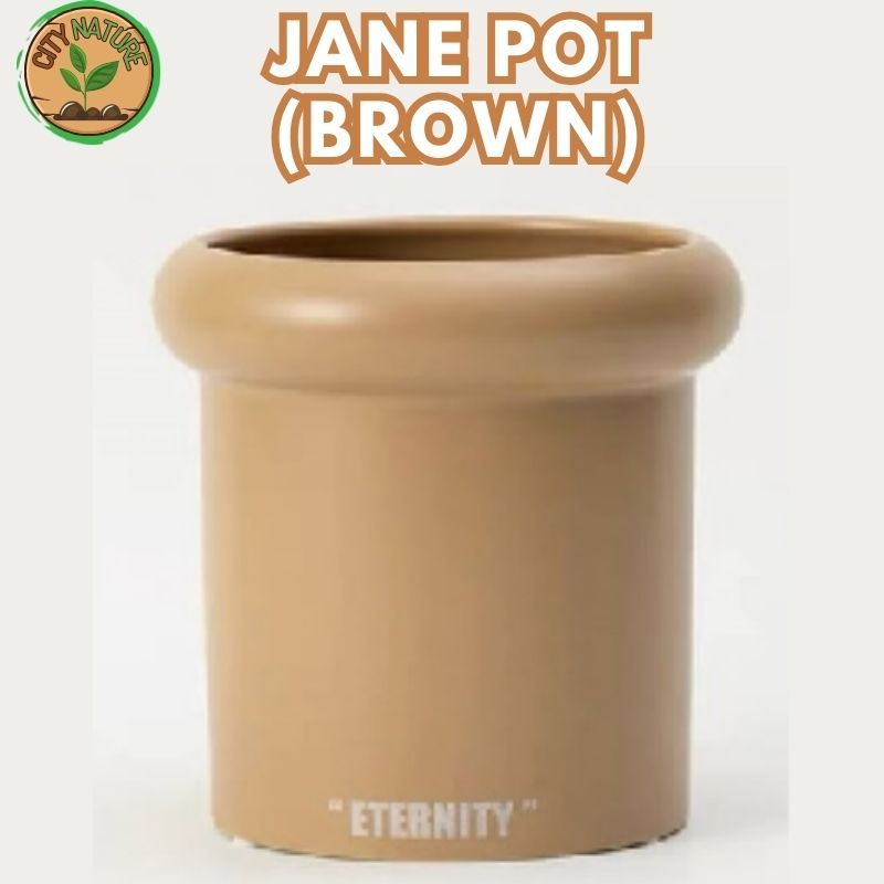 JANE POT (BROWN) CERAMIC FLOWER POT 多肉花盆 植物花盆 花盆 陶瓷花盆 | Shopee Malaysia