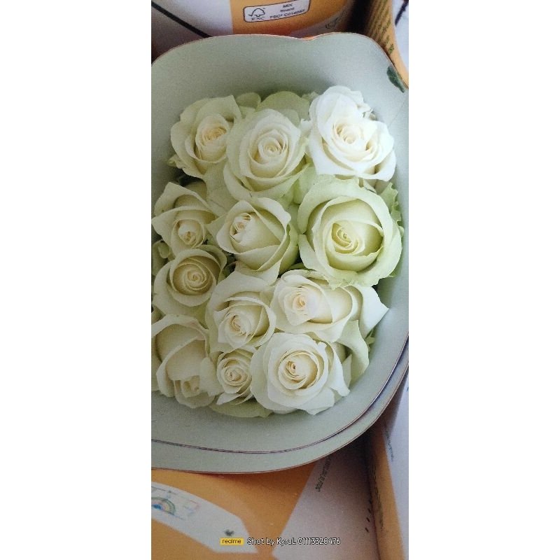 🌹Ready Stock 🌹 Roses 🌹20stalks🌹 Fresh Flower From Cameron Highlands 🌹🌹 ...