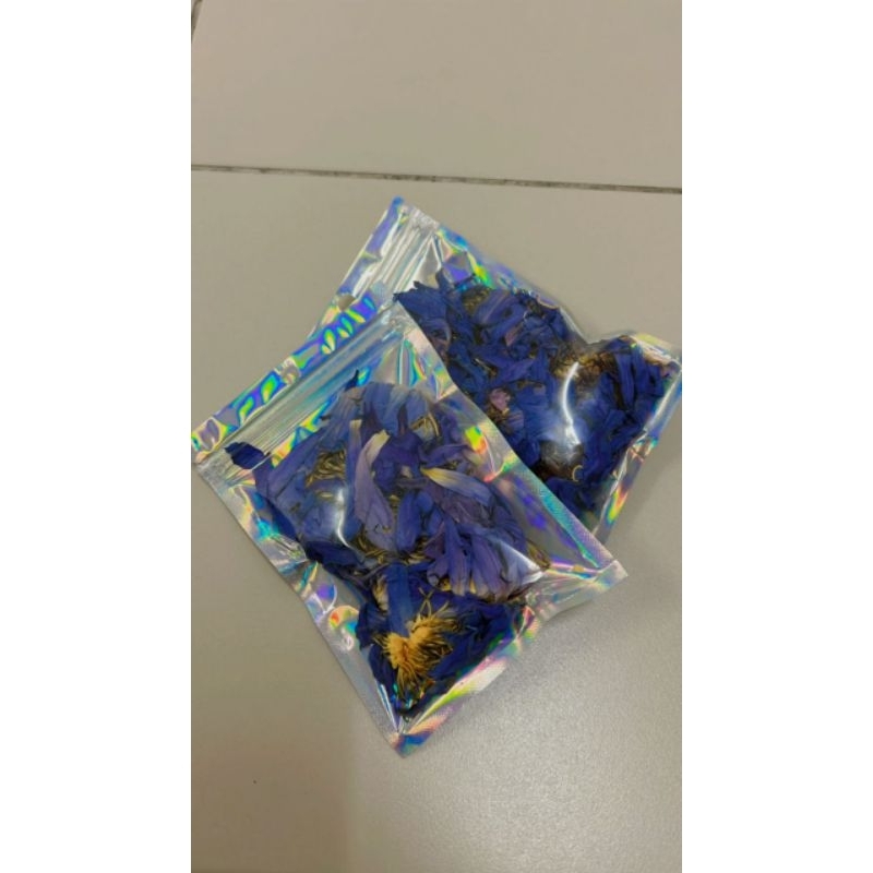 Blue Lotus Flower / Bunga Teratai Biru. Medication Herbs & Relief ...