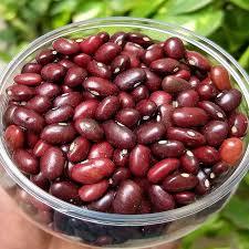 Surkh Lobia (Red Kidney Beans) 500GM | Shopee Malaysia