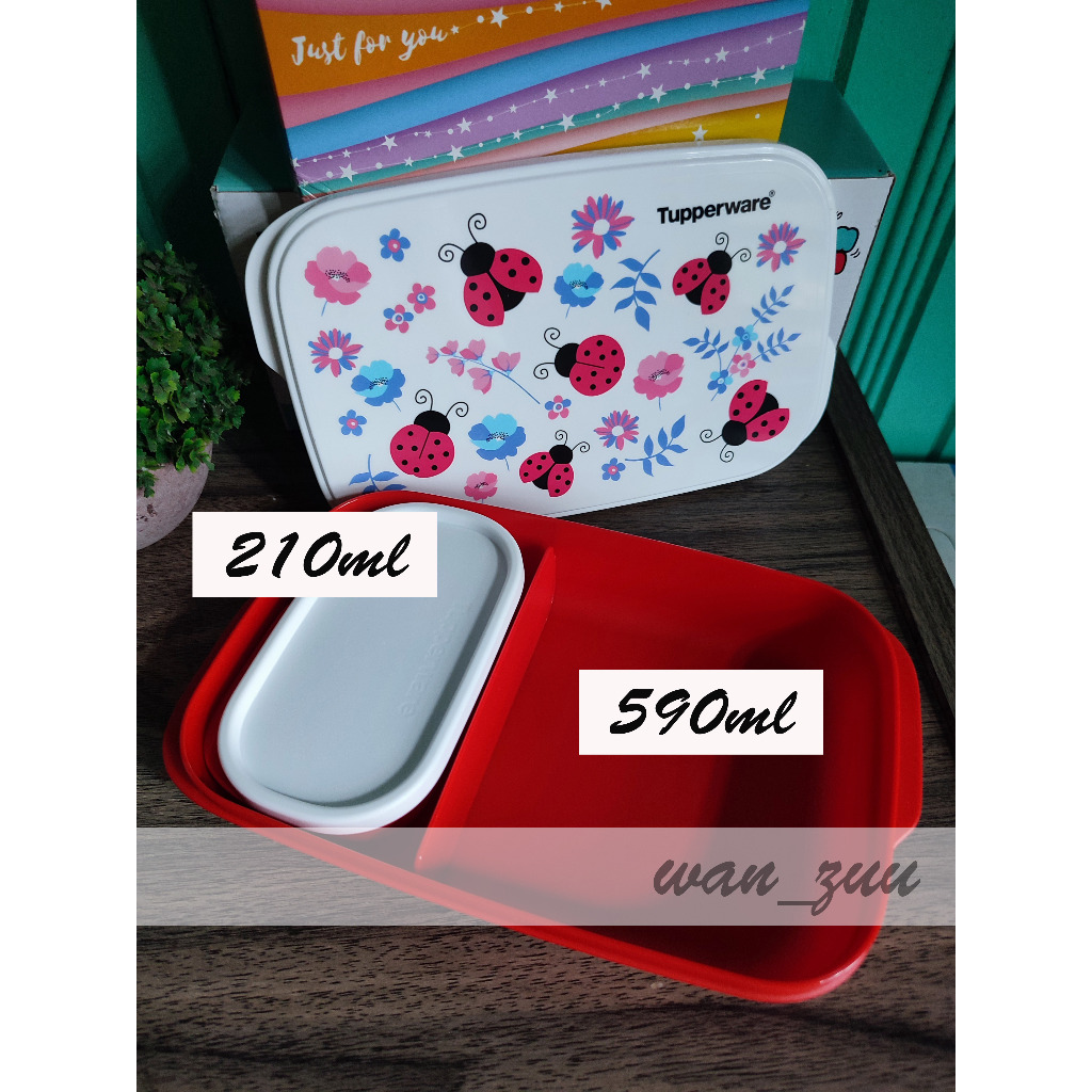 Tupperware Whimsical Garden Foodie Buddy [Dottie Bug]/ Bekas Bekal ...