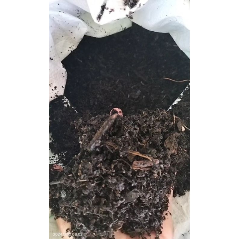Organik Kompos Daun Kayu Reput rm3.30 1Kg | Shopee Malaysia