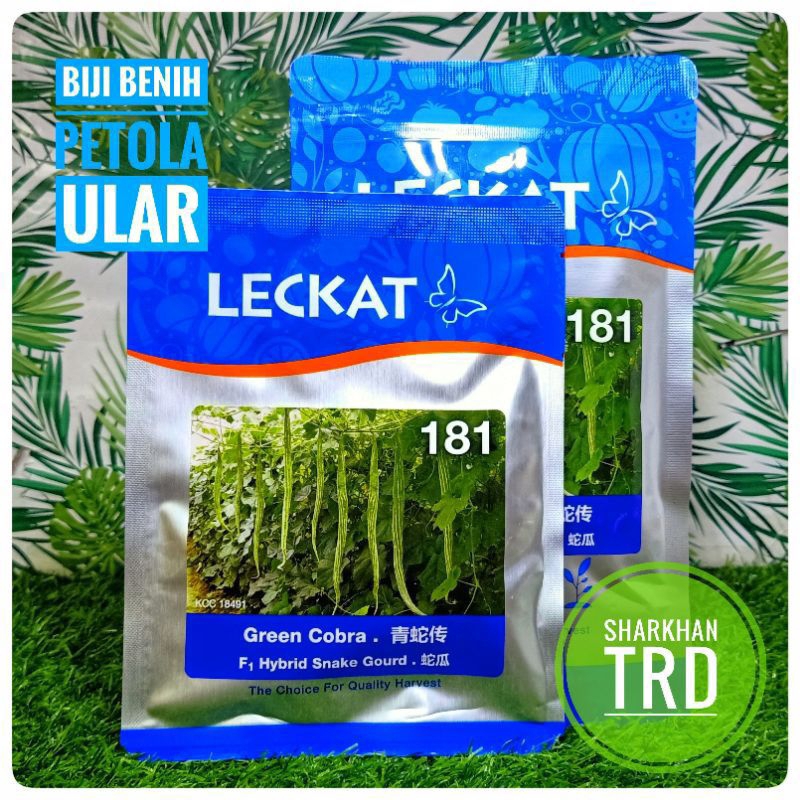 Paket 20/100g 181 GREEN COBRA Leckat Biji Benih Petola Ular F1 Hybrid Snake Gourd Seeds Teney ...