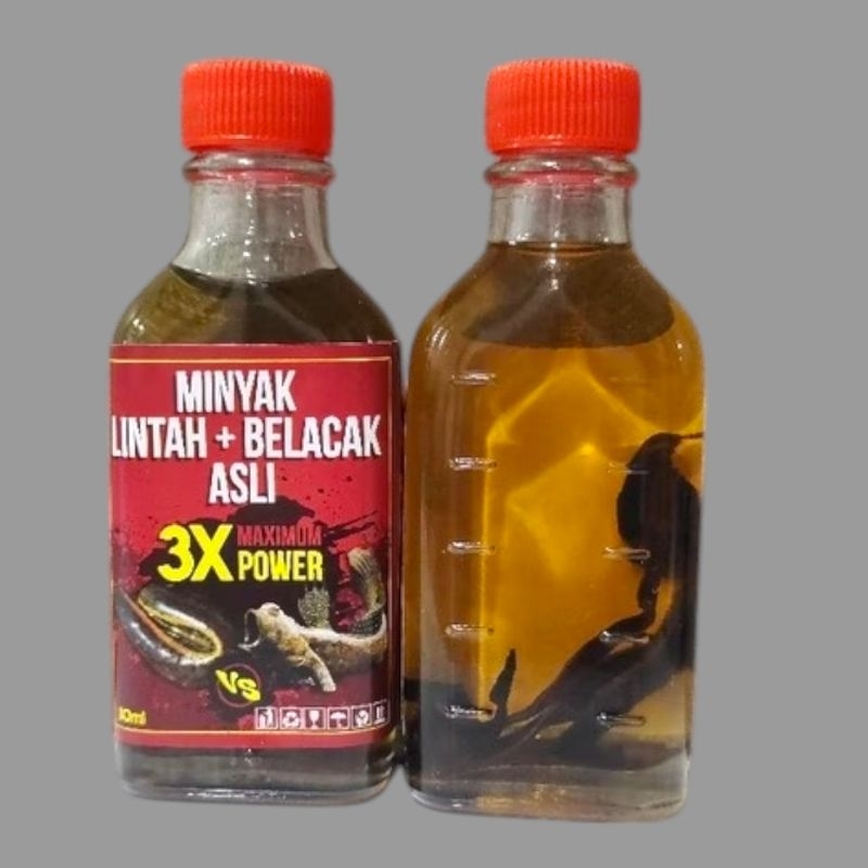 Belacak plus Lintah Oil Minyak Tradisi Melayu Urut Minyak Lintah ...