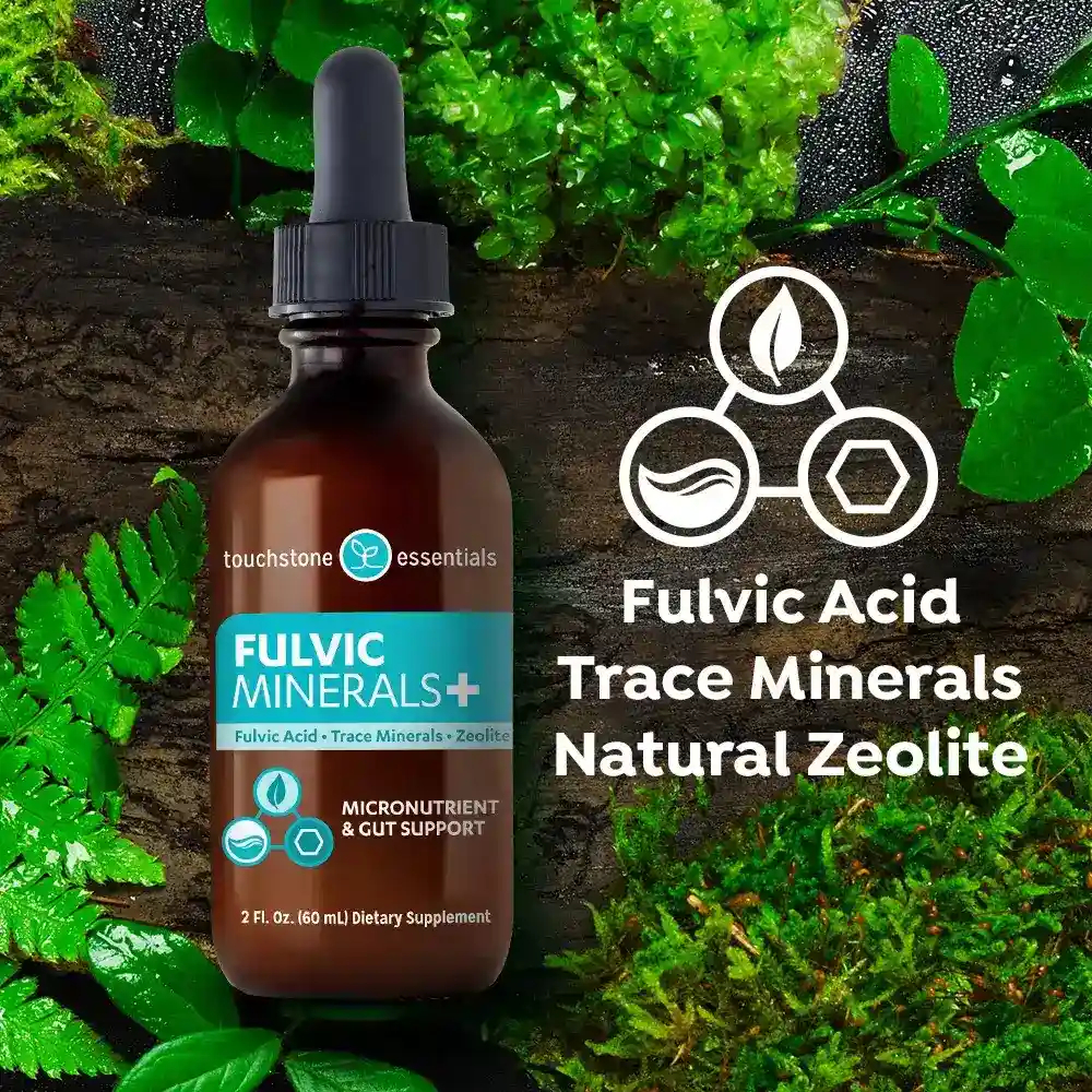 Touchstone Essentials Fulvic Minerals+ Micronutrients & Gut Cleanse ...