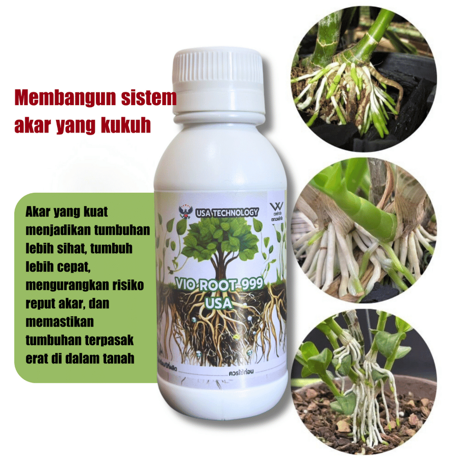 [VIO ROOT 999 USA] Garden Rooting Serbuk Perakaran Serbuk Penggalak ...